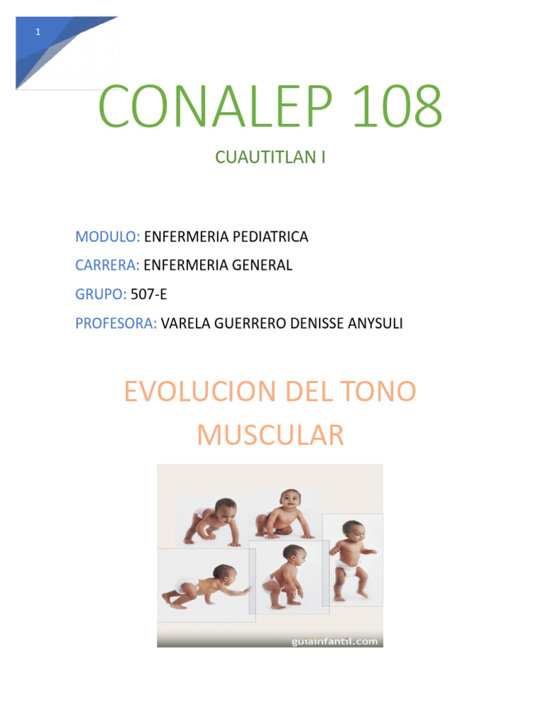 Evolución del Tono Muscular Infantil | PDF