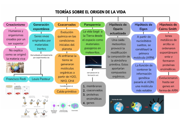 Mapa Conceptual Teorías de la Vida | PDF