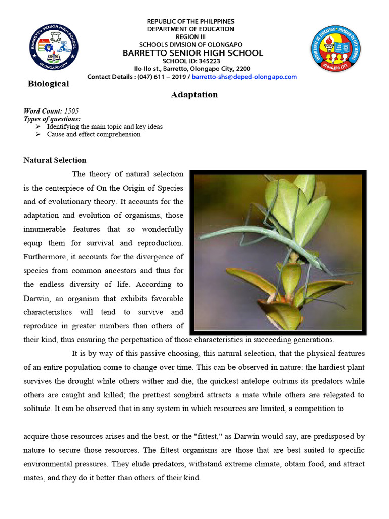 Grade 12 GAS Reading Assessment | PDF