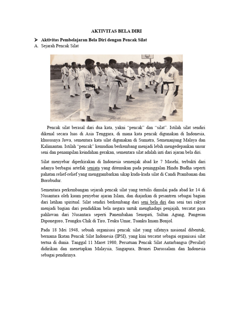 Aktivitas Bela Diri | PDF