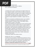 Anatomia do Sistema Venoso Ázigo | PDF | Veia | Coluna vertebral