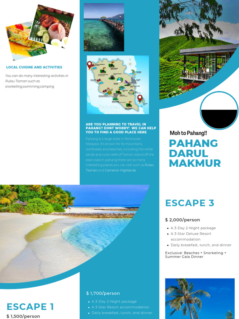 Blue Modern Vacation Packages Trifolds Brochure | PDF | Tourism