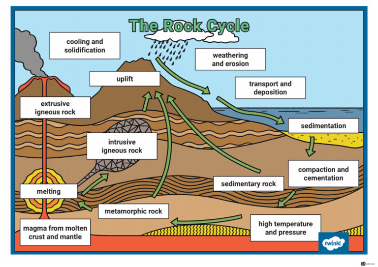 Year 8 twinkl water cycle worksheet | PDF