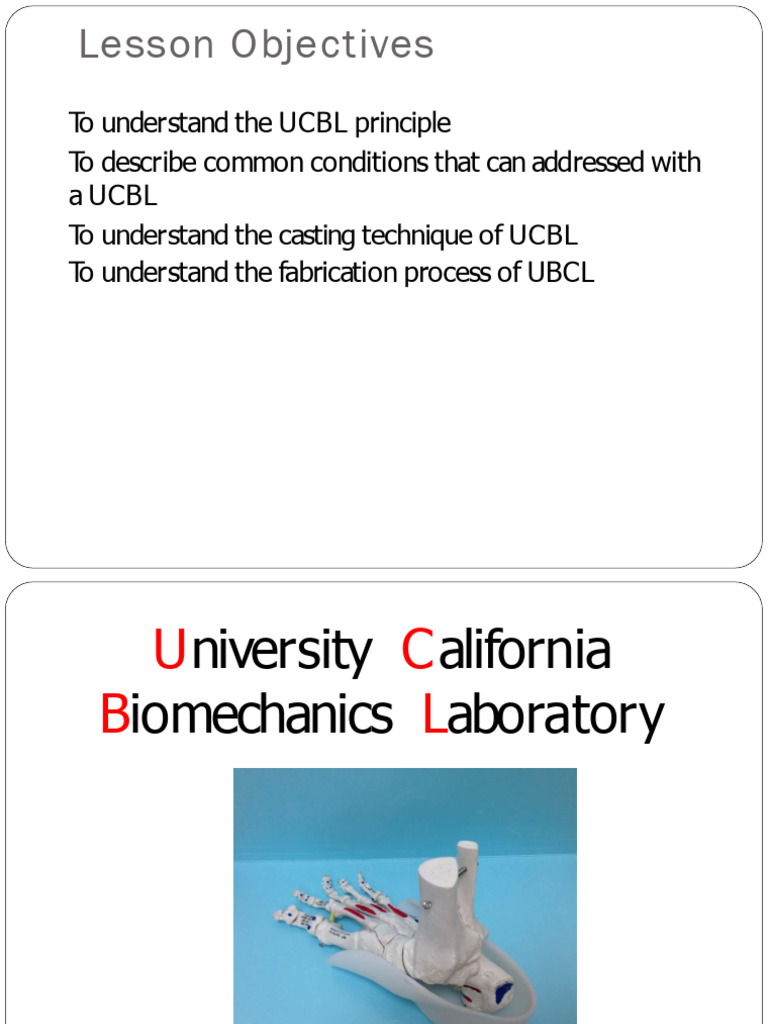 UCBL Lecture | PDF | Foot | Skeletal System