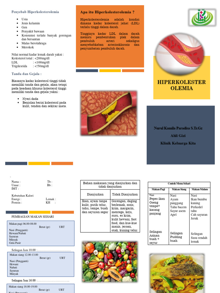 Leaflet KOLESTEROL | PDF