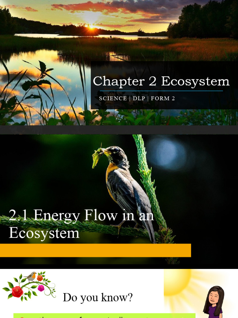 Ecosystem (Full) | PDF | Carbon Cycle | Soil