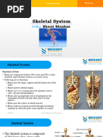 Skeletal System Overview and Functions | PDF | Bone | Skeleton