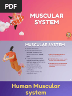 Muscular System Grade 4 Science | PDF | Wellness