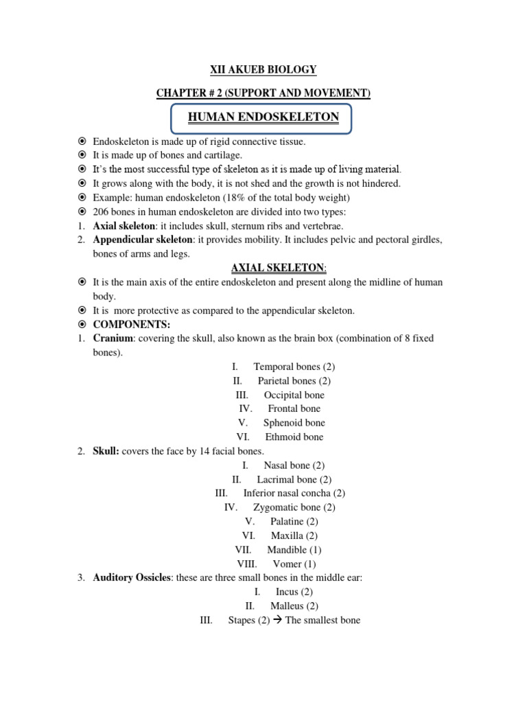sKELETON NOTES Xii Akueb | PDF