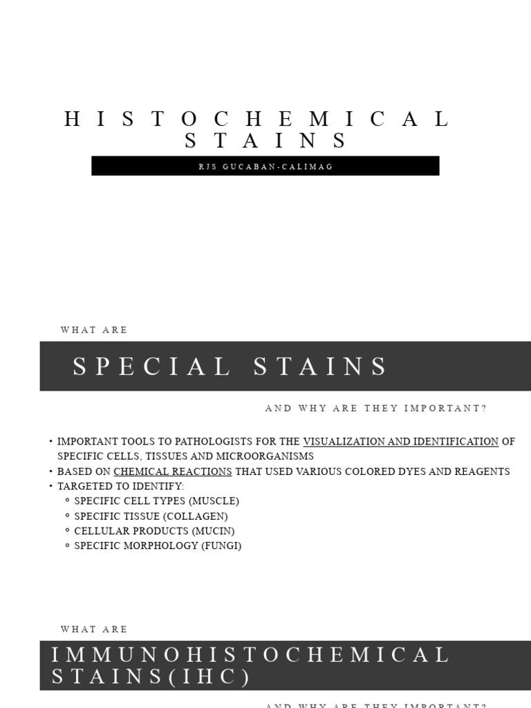 Histochemical Stains | PDF | Immunohistochemistry | Epithelium