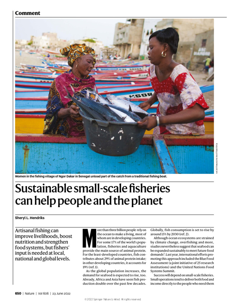 Sustainable Small-Scale Fisheries Can Help People and The Planet | PDF ...