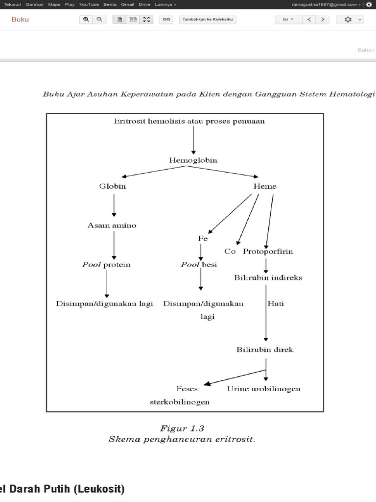 Buku Ajar Asuhan Keperawatan DGN Gangguan Sistem Hematologi - Google Buku | PDF