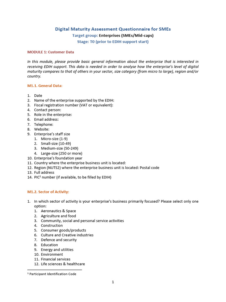 Digital Maturity Assessment for SMEs | PDF | Sustainability | Computer ...