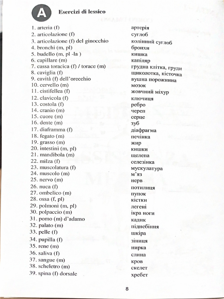 Esercizi Di Lessico | PDF