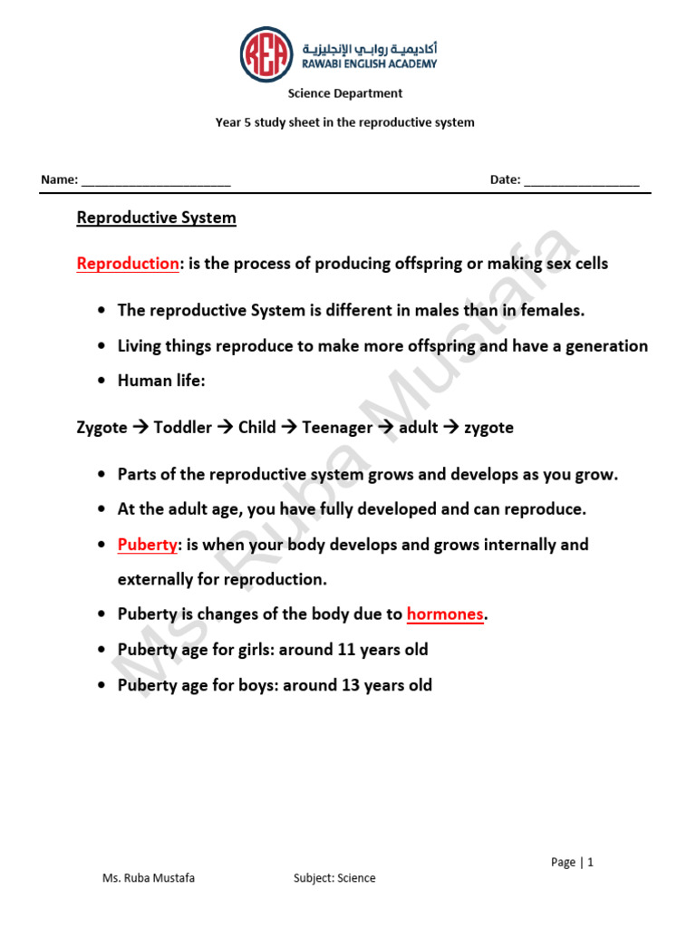 1.3 Notes Reproductive System | PDF | Reproductive System | Human ...