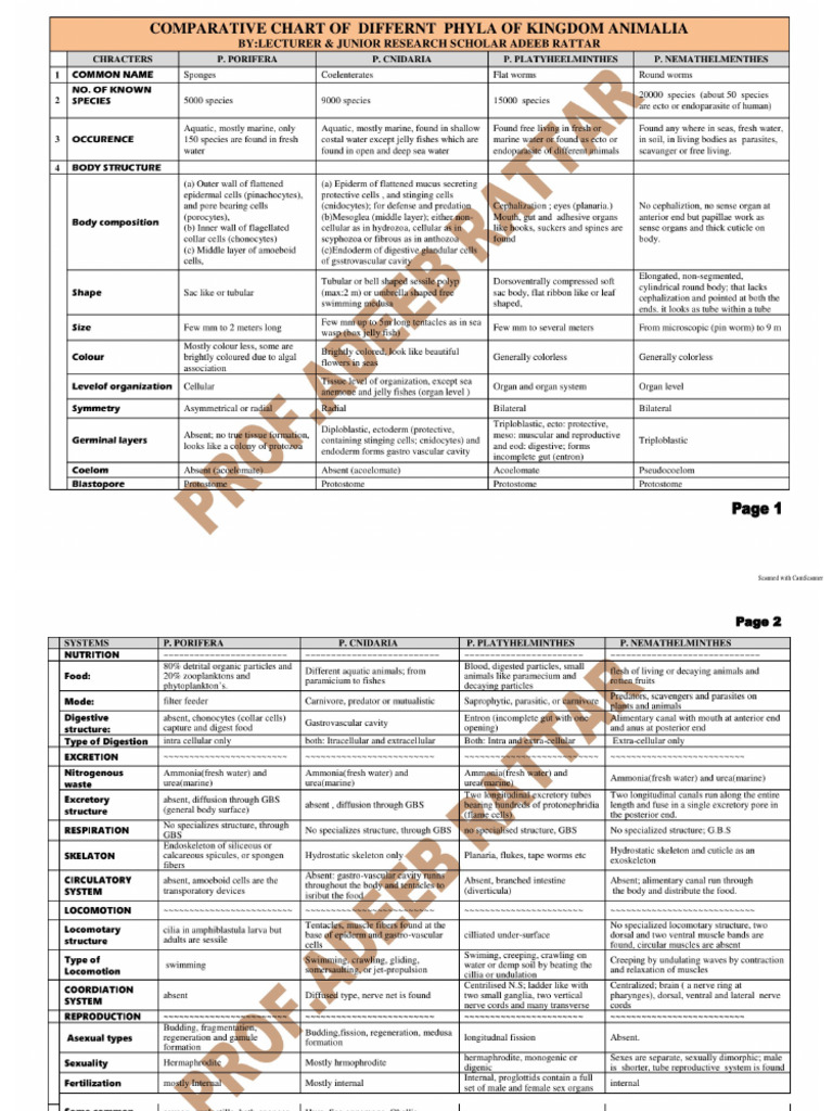 Animalia & Kingdom by Sir Adeeb Rattar | PDF