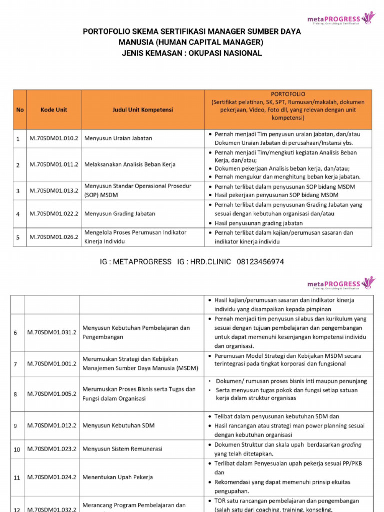 Portofolio MSDM | PDF