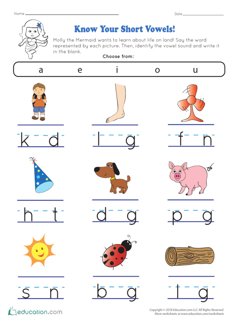 Short Vowel Review | PDF