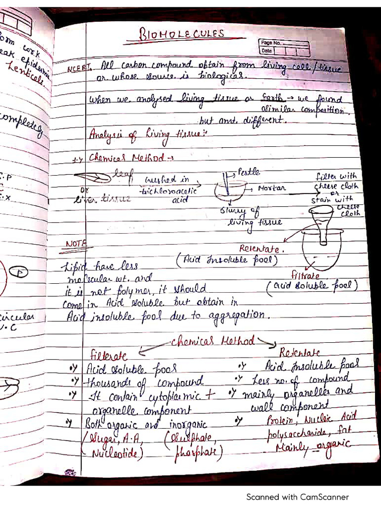 Topper Notes of Biomolecules - B | PDF