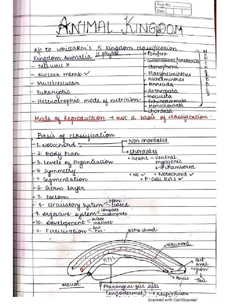 Topper Notes of Animal Kingdom A15a763e 663f 49e4 938d Bf1faba03f66 | PDF