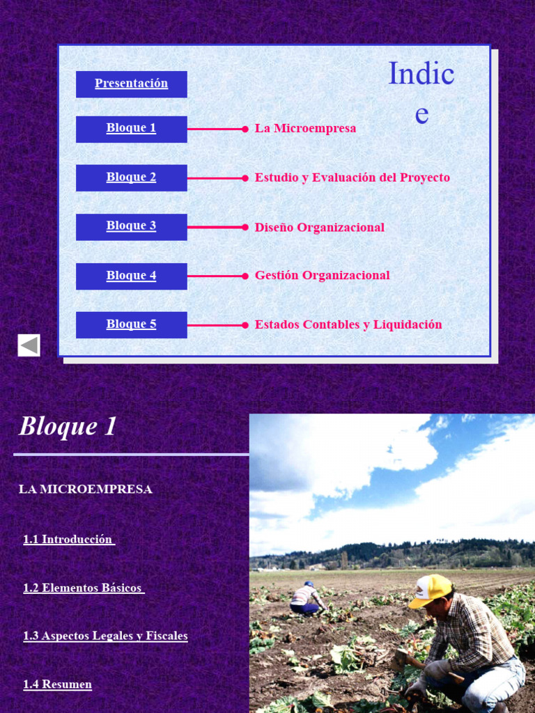 Micro em Prendi Mien To | PDF | Iniciativa empresarial | Business