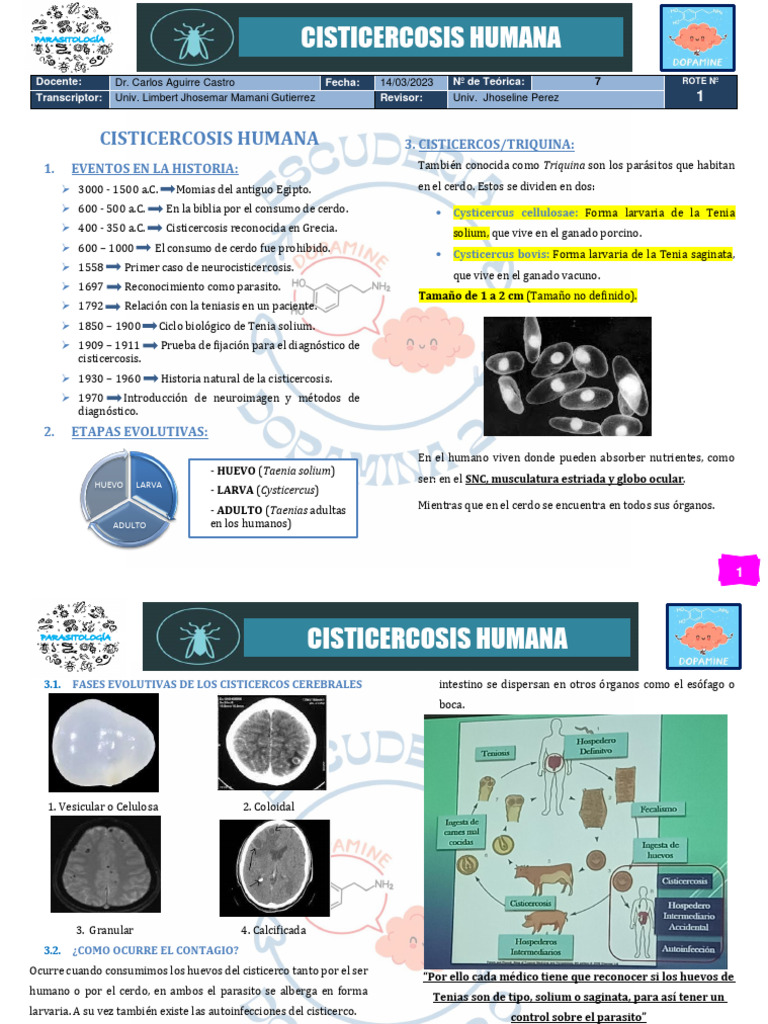 P-R1-T7-Cisticercosis Humana | PDF