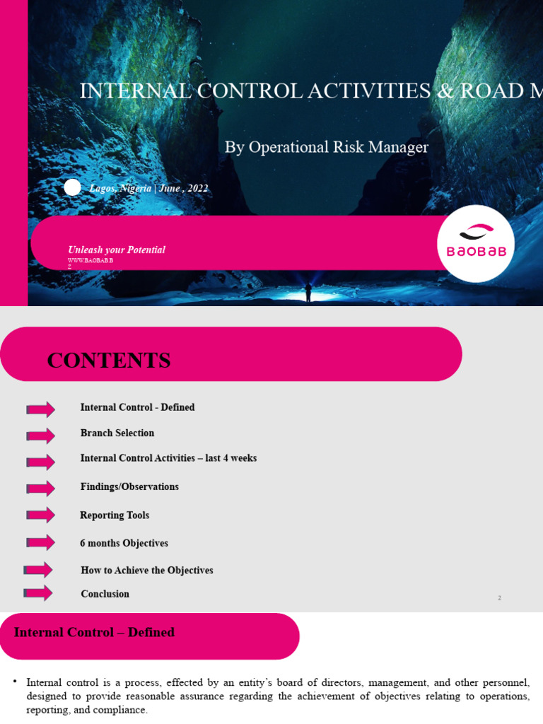 Internal Control Activities & Road Map | PDF | Internal Control | Business