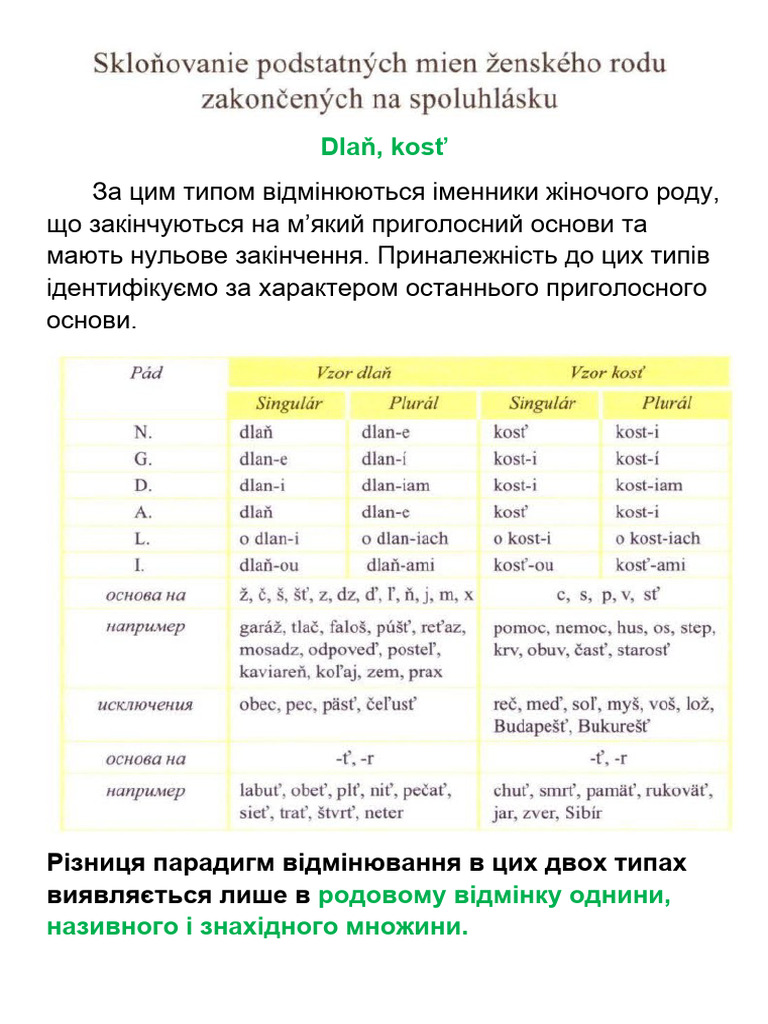 Dlaň A Kosť | PDF