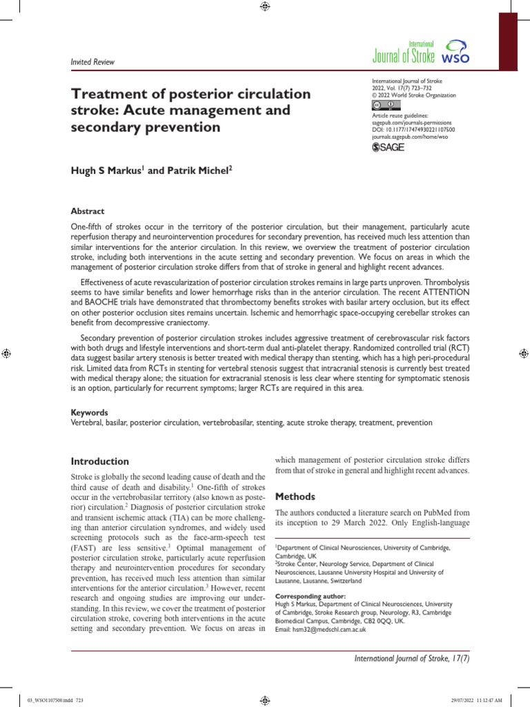 Treatment of Posterior Circulation Stroke: Acute Management and ...
