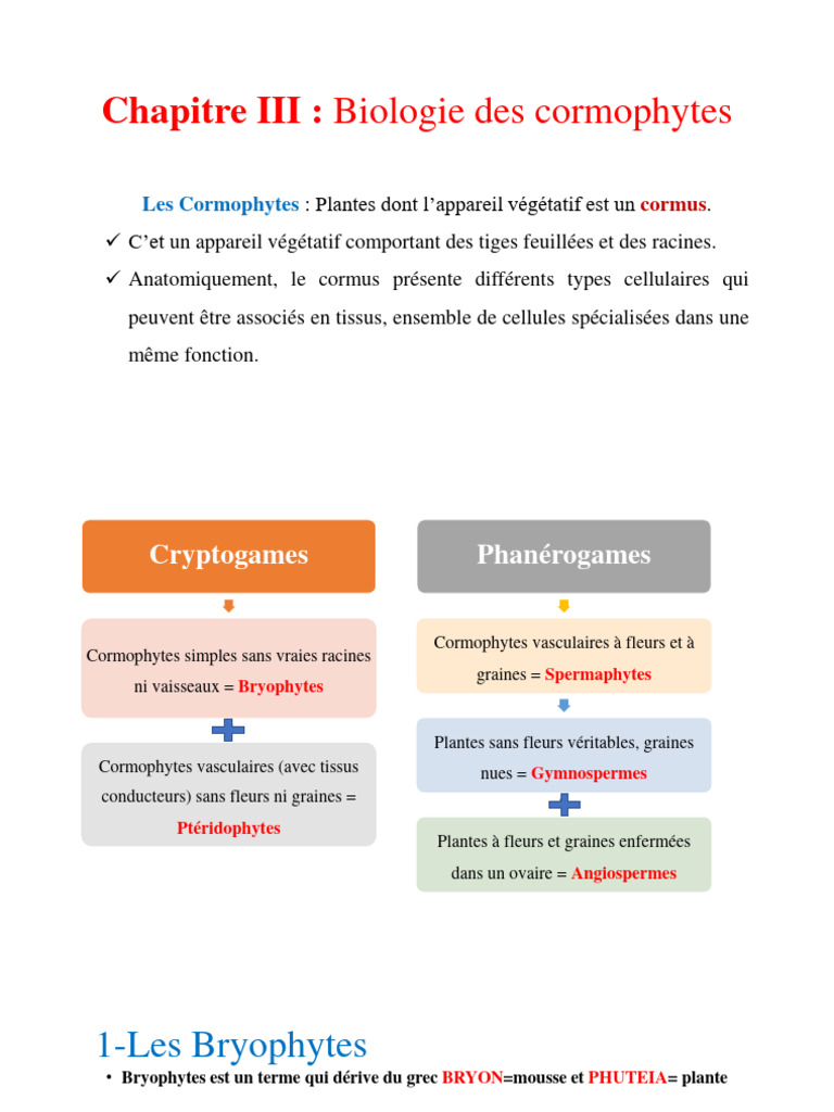 Biologie des cormophytes et classification | PDF | Tige (Plante) | Racine