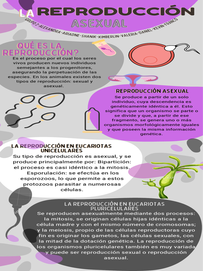 Infografia | PDF | Reproducción sexual | Biología Celular)