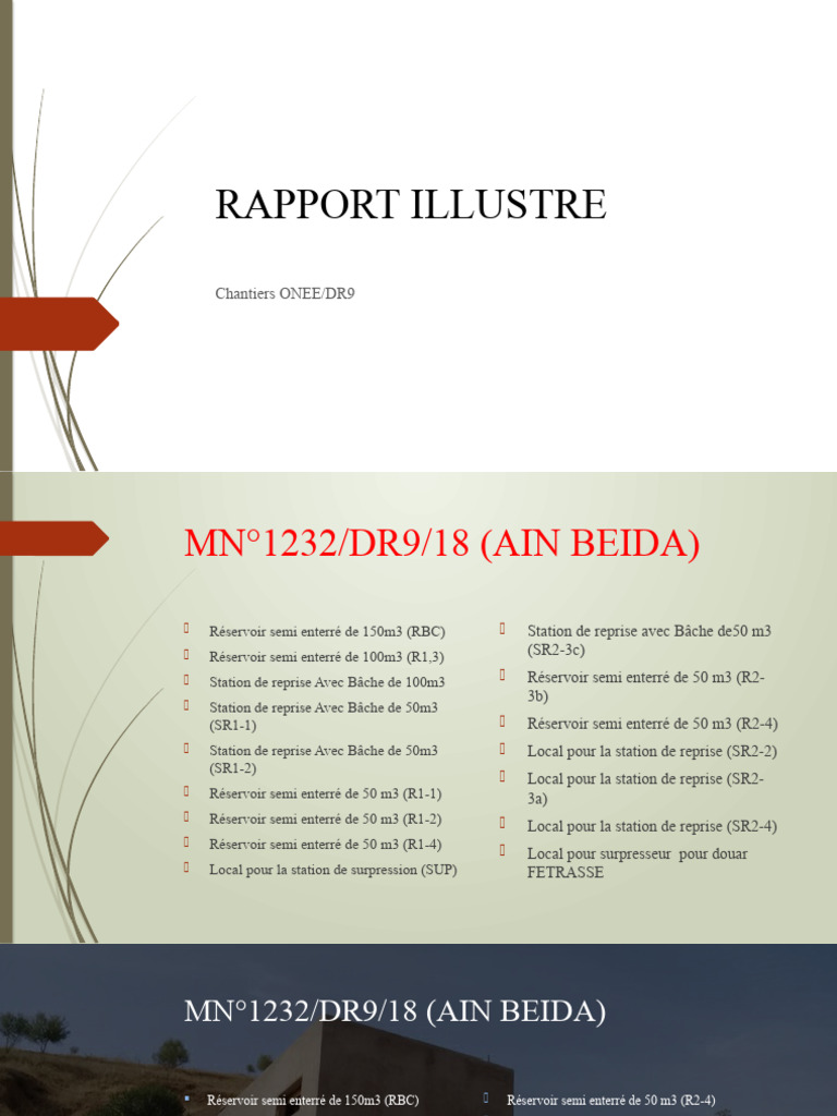 Rapport Illustré | PDF