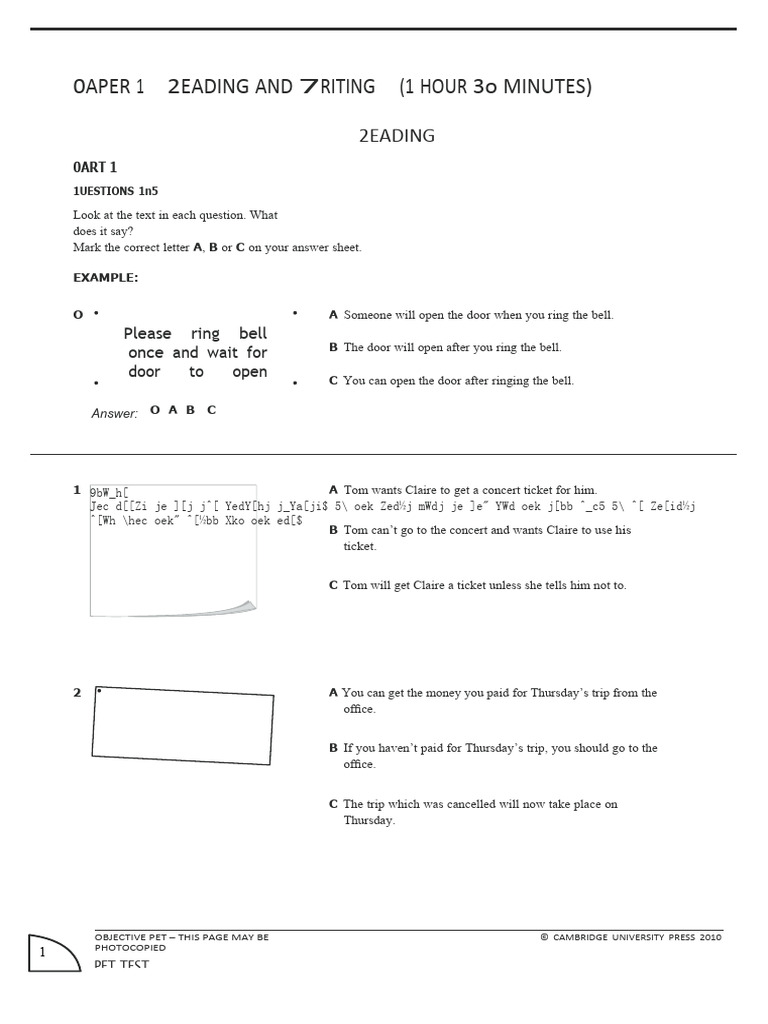 Objective PET Test Guide | PDF