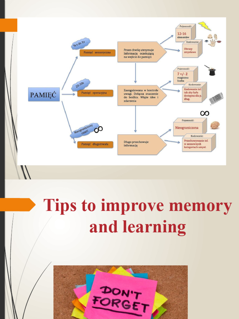 Memory and Learning Improvement Tips | PDF
