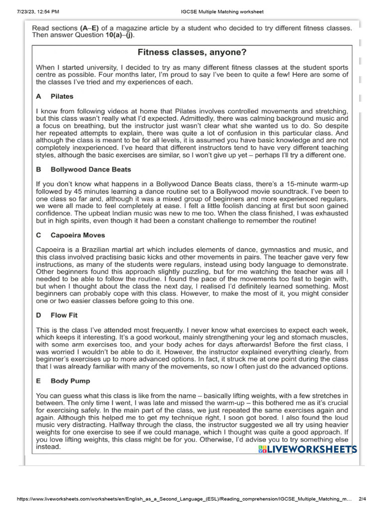IGCSE Multiple Matching Worksheet | PDF | Art