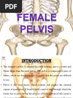 Differences Between Male and Female Pelvis | PDF | Pelvis | Skeletal System