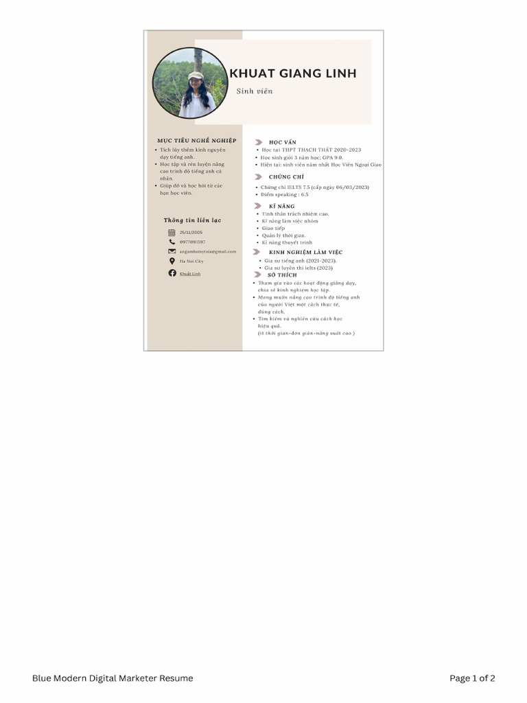 Blue Modern Digital Marketer Resume | PDF