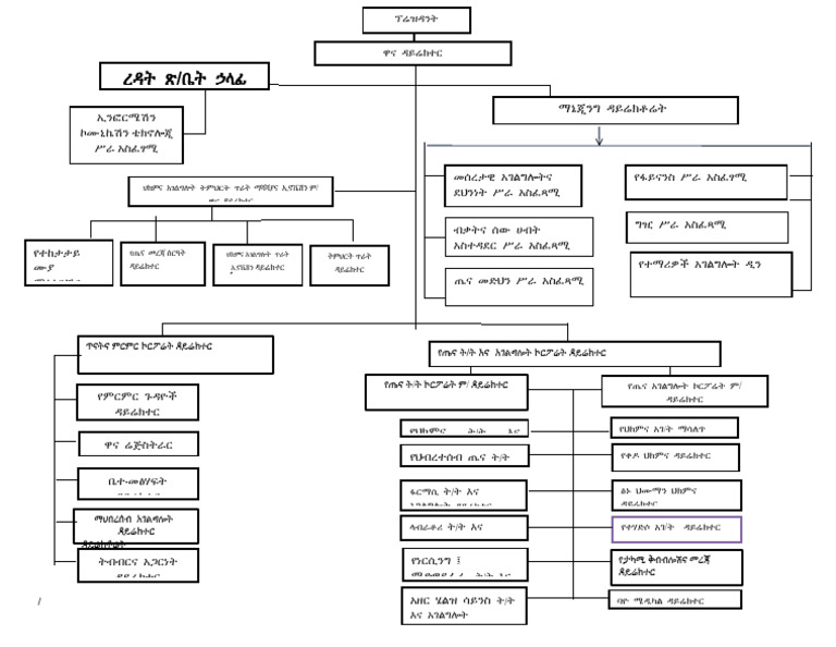 Final Organogram | PDF