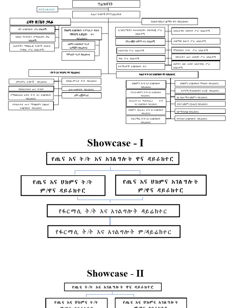 Teaching Hospitals Suggested Organogram 280923 | PDF