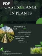 Photosynthesis Hhmi Biointeractive | PDF | Photosynthesis | Physiology