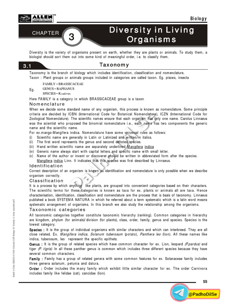 Class 6 Worksheet on Organism Diversity | PDF | Fungus | Bacteria