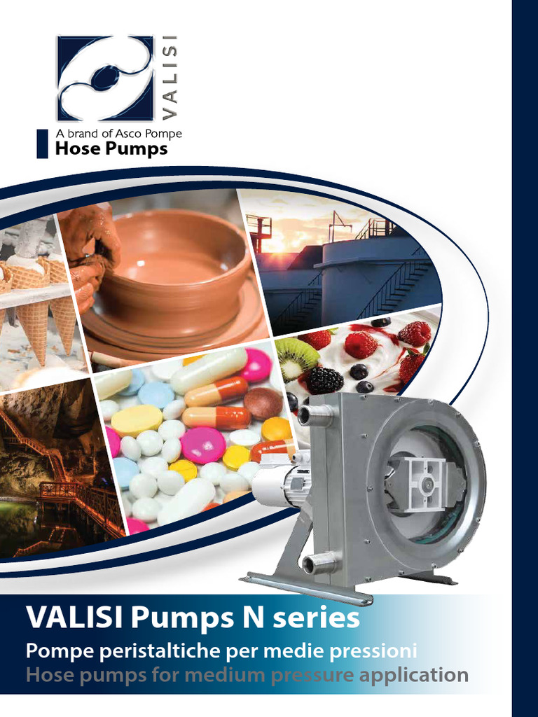 Brochure Valisi Pumps N Series Low | PDF