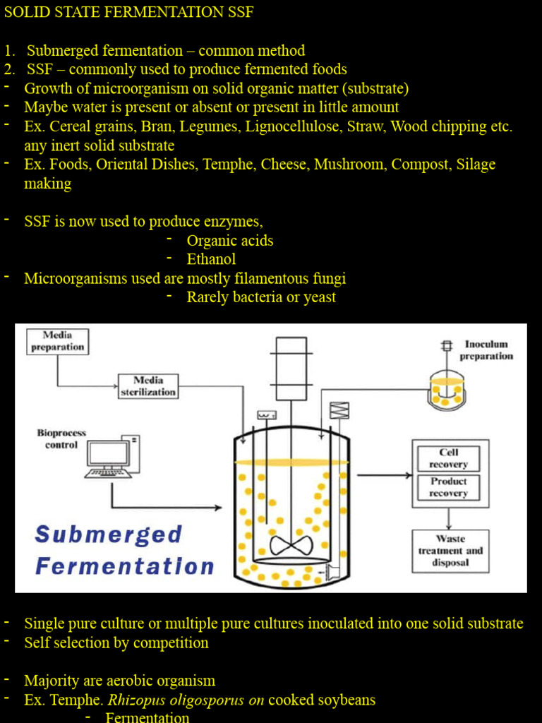 Ssf Bioreactor Systems Pdf Fermentation Chemistry