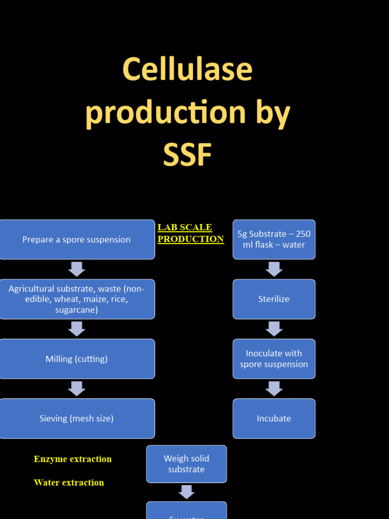 Cellulase Production By Ssf Pdf Chemistry Industrial Processes