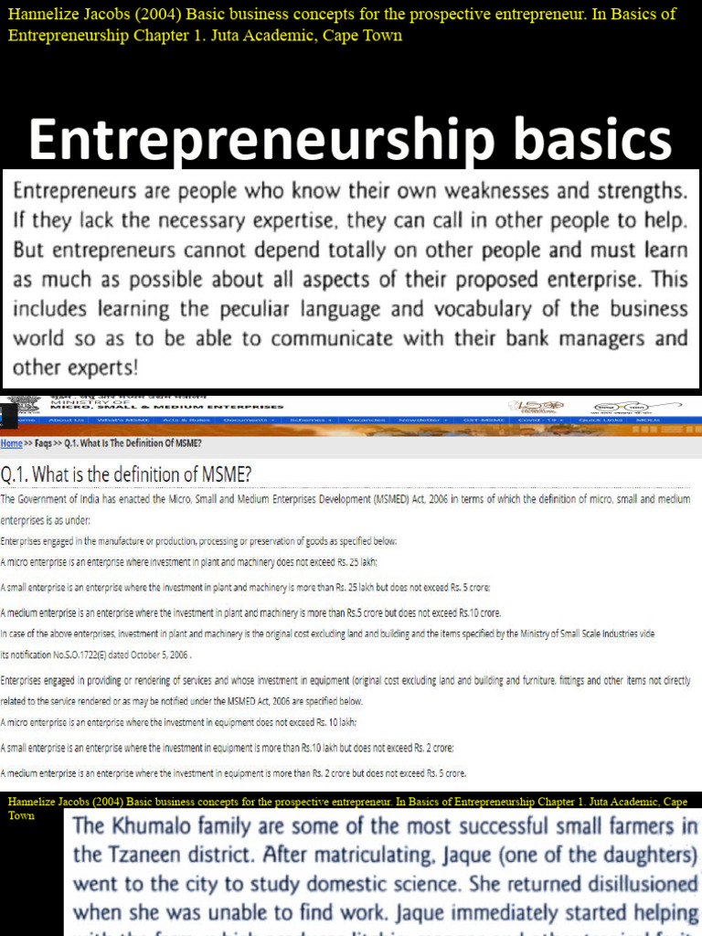 Entrepreneurship Basics | PDF | Entrepreneurship | Capital (Economics)
