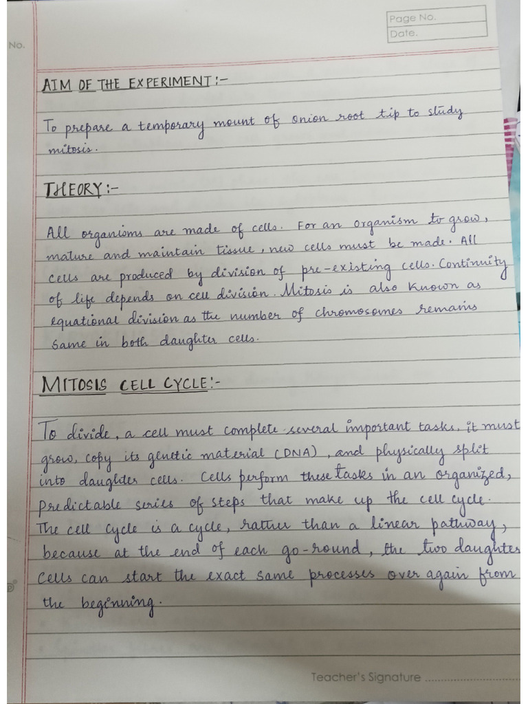 Practical No. 9 | PDF