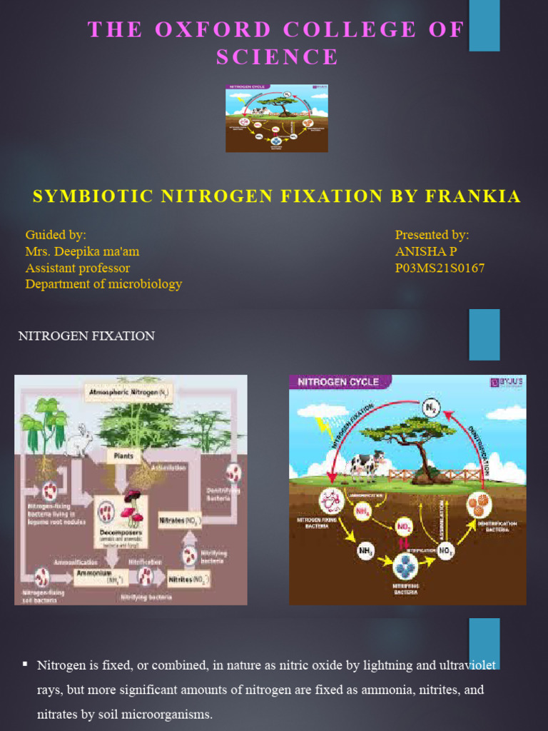 Frankia Seminar | PDF | Bacteria | Biochemistry
