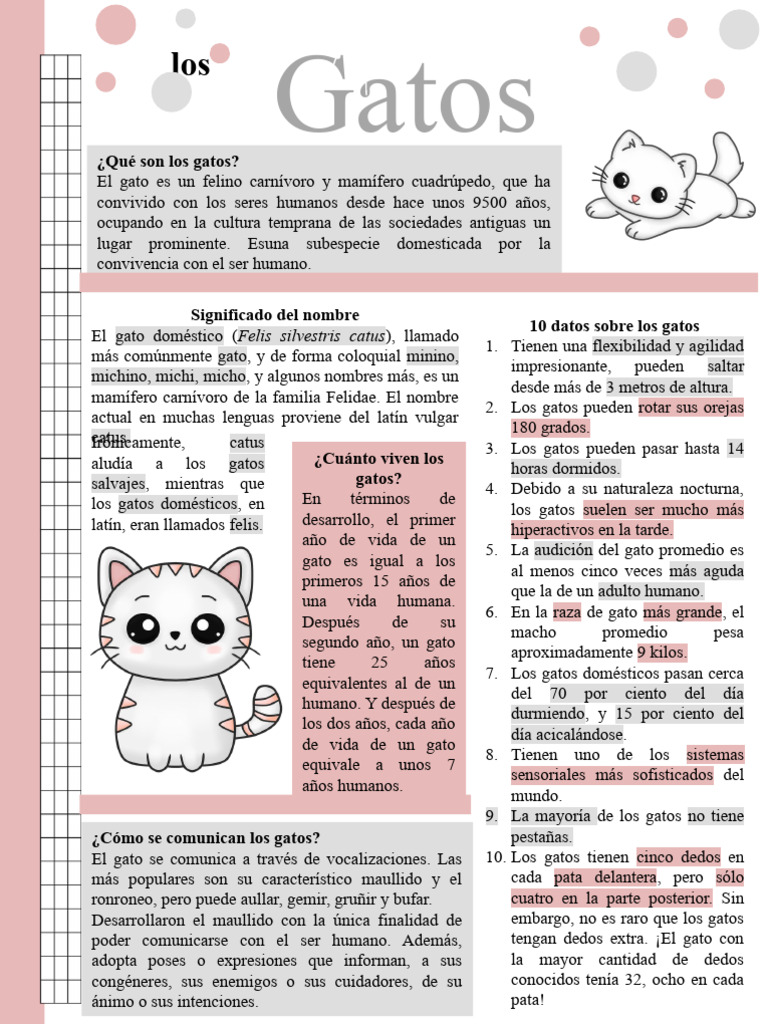 Plantilla Apunte 3 @burbuja - Arts | PDF | Gatos | Felinos
