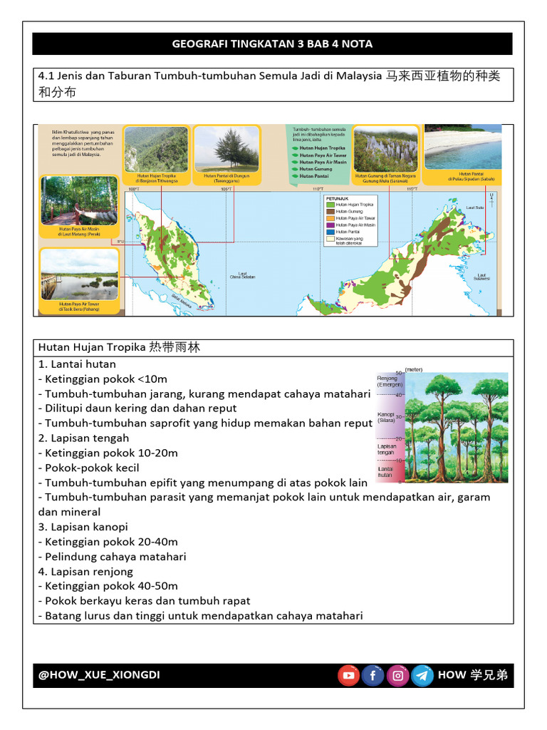 GG T3 Bab 4 Nota | PDF