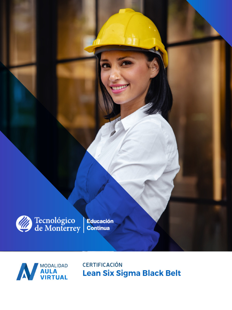 AV - Lean Six Sigma Black Belt | PDF | Lean Manufacturing | Six Sigma